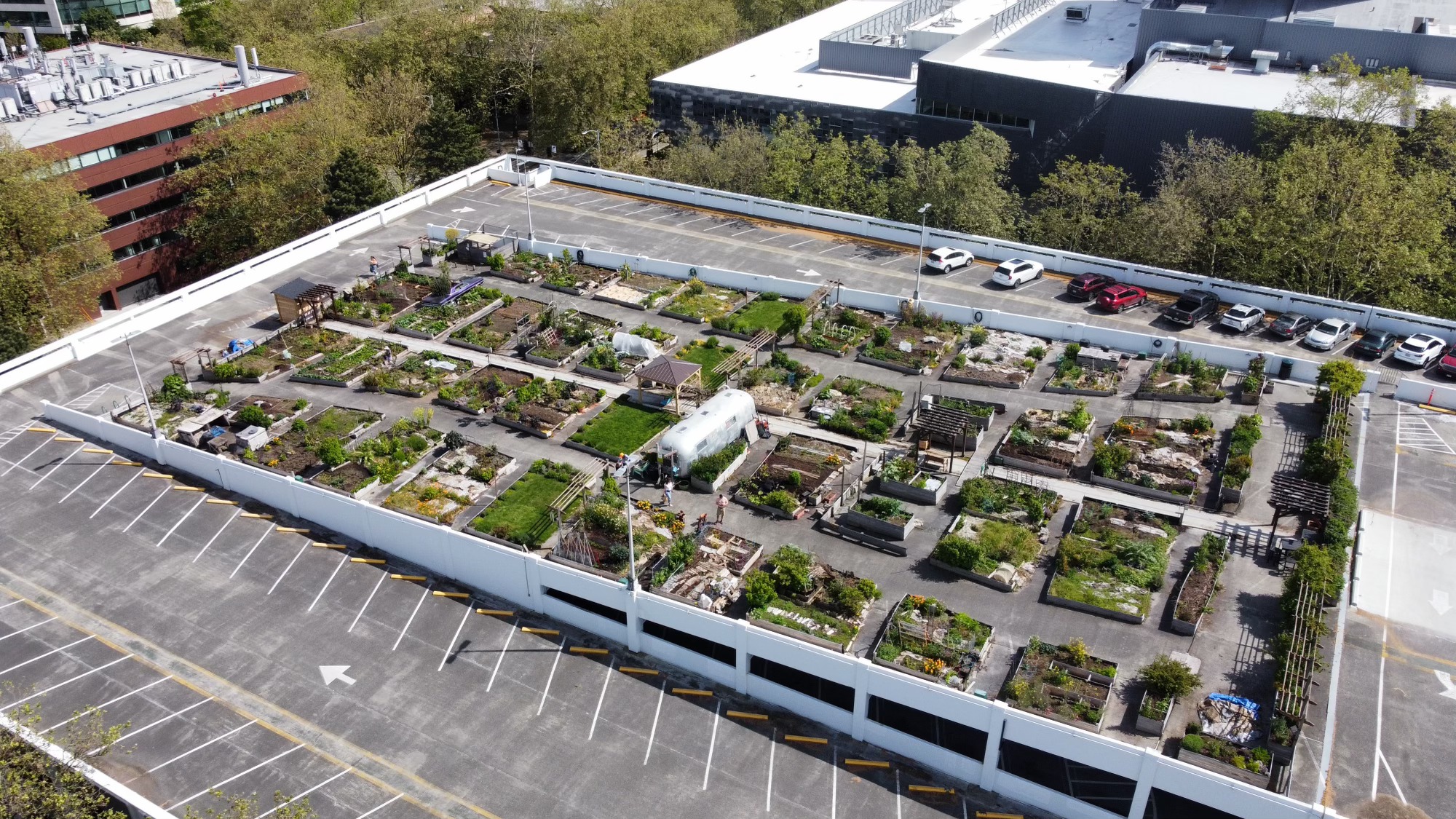 UpGarden P-Patch – Bringing P-Patches to New Heights